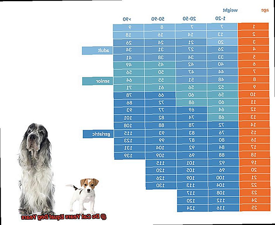 Do Cat Years Equal Dog Years? - 21Cats.org