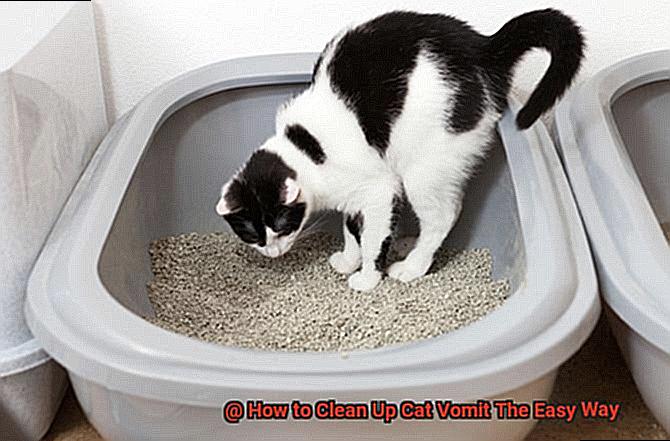 How to Clean Up Cat Vomit The Easy Way? - 21Cats.org