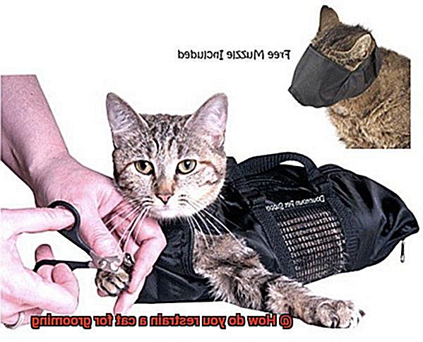 How do you restrain a cat for grooming? - 21Cats.org
