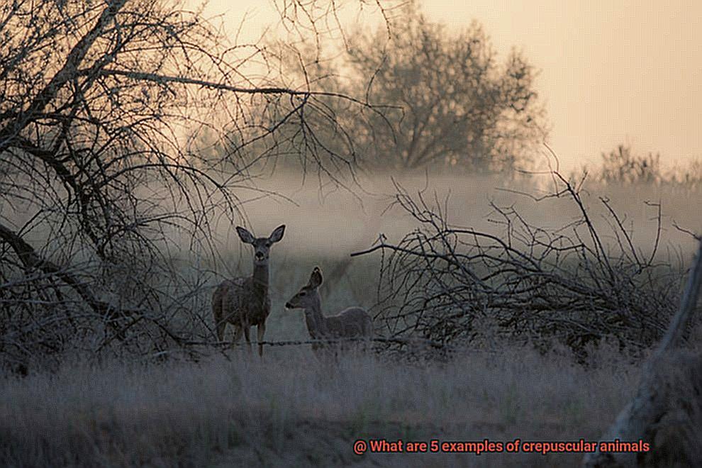 What are 5 examples of crepuscular animals? - 21Cats.org