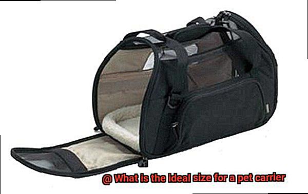 What is the ideal size for a pet carrier? - 21Cats.org